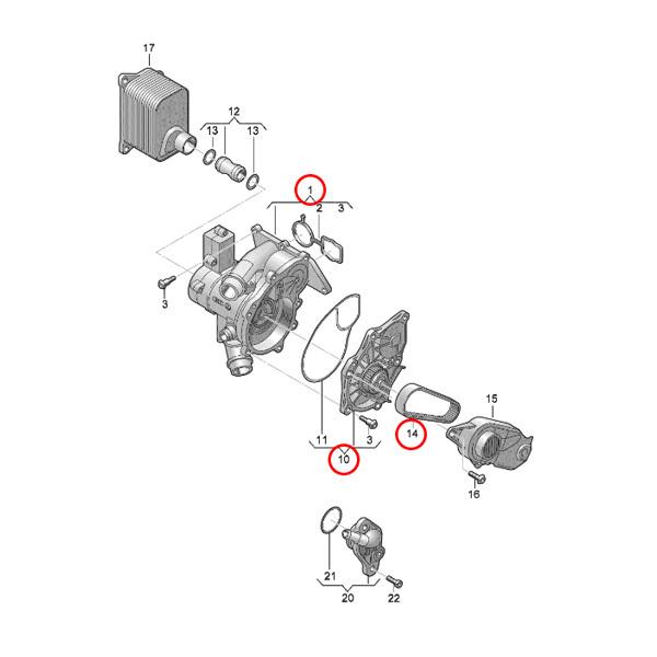 Audi INA製 AUDI A1 8X GB A3 8V A4 8K/B8 8W/B9 ウォーターポンプASSY＆コグベルト 06K121011 06K121011B 06L121111G ...