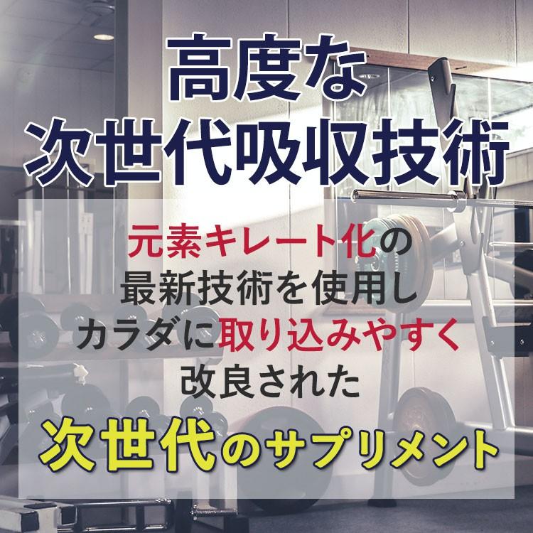 AllMAX ZMX2 アドバンスド 90粒 亜鉛 マグネシウム ビタミンB6 オールマックス ZMA :AX-12810:プロテインUSA ...