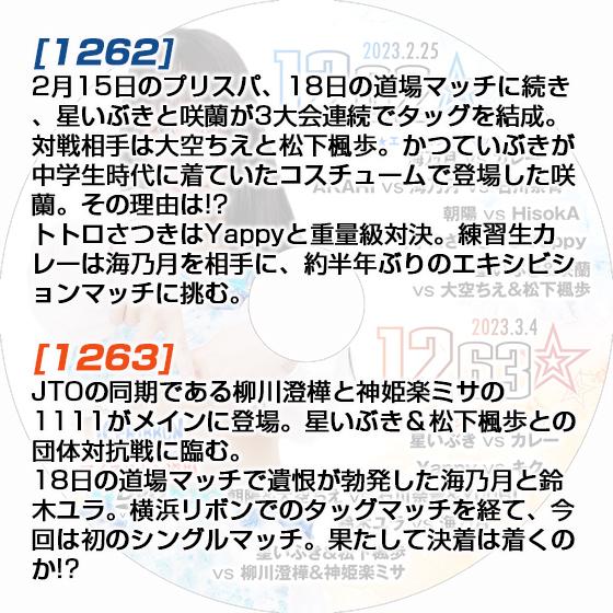 アイスリボンvol.1262＆1263 : プロレスリングJP - 通販 - Yahoo!ショッピング