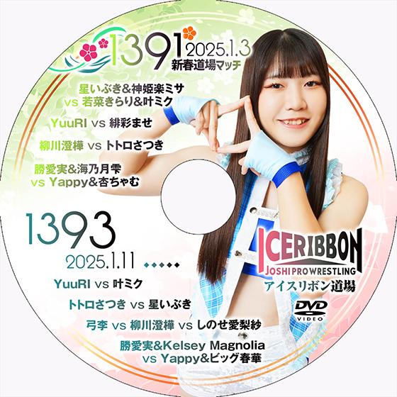 アイスリボンvol.1391〜新春道場マッチ〜＆1393 : ice-1391-1393 : プロレスリングJP - 通販 - Yahoo!ショッピング