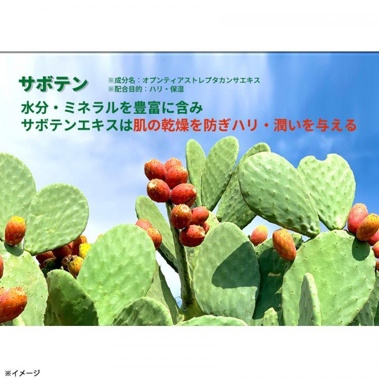 スピード発送｜nopa マイベストカラー ファンデーション 送料無料 北斗晶 ノパ リキッドファンデ コンシーラー 美容成分 サボテン 毛穴 シミ 消す くすみカバー : プエラリアン(美容 ...