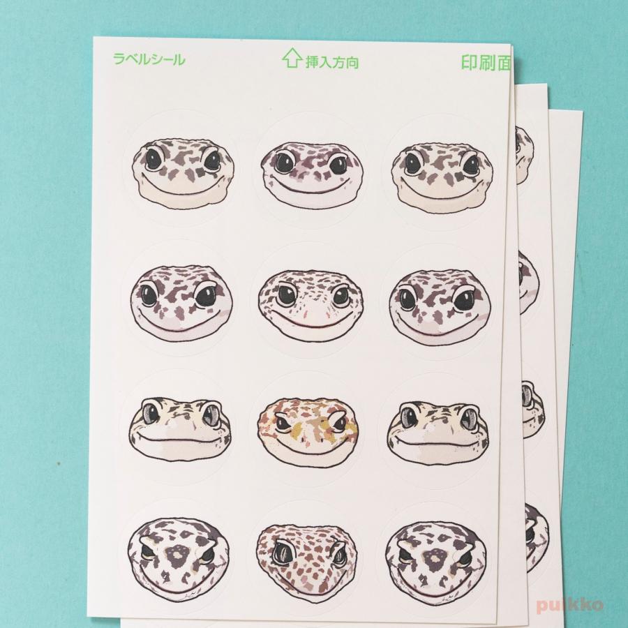 puikko 丸シール30mm レオパードゲッコーの正面顔 :4570089434714:puikko - 通販 - Yahoo!ショッピング