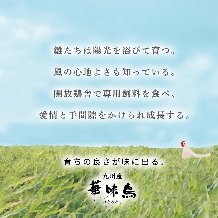 送料無料 博多華味鳥 焼き鳥 20本セット 4本入×5袋 九州産銘柄 華味鳥 もも串 皮串 とりトロ串 つくね串 御中元 御歳暮 お取り寄せ HY-A1 :hy-04:Regaloセレクト ...