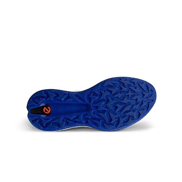 ecco エコー ゴルフシューズ M バイオム H5 メンズ 13801461109 13801401539 ECCO GOLF BIOM ...