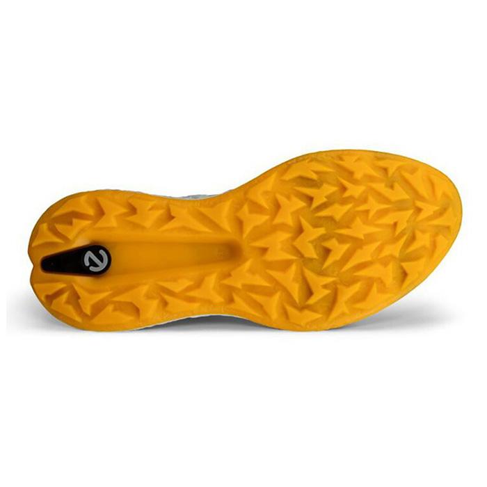 ecco エコー ゴルフシューズ M バイオム H5 メンズ 13801461109 13801401539 ECCO GOLF BIOM ...