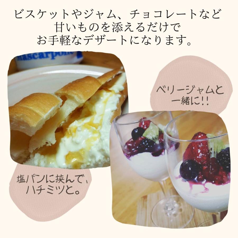 【冷凍】マスカルポーネ 1個（226g）なめらか クリーミー ふわふわ 生クリーム お菓子 材料 テイラミス スイーツ マスカル アメリカ : チーズ専門店キャトルフォイユ - 通販 ...