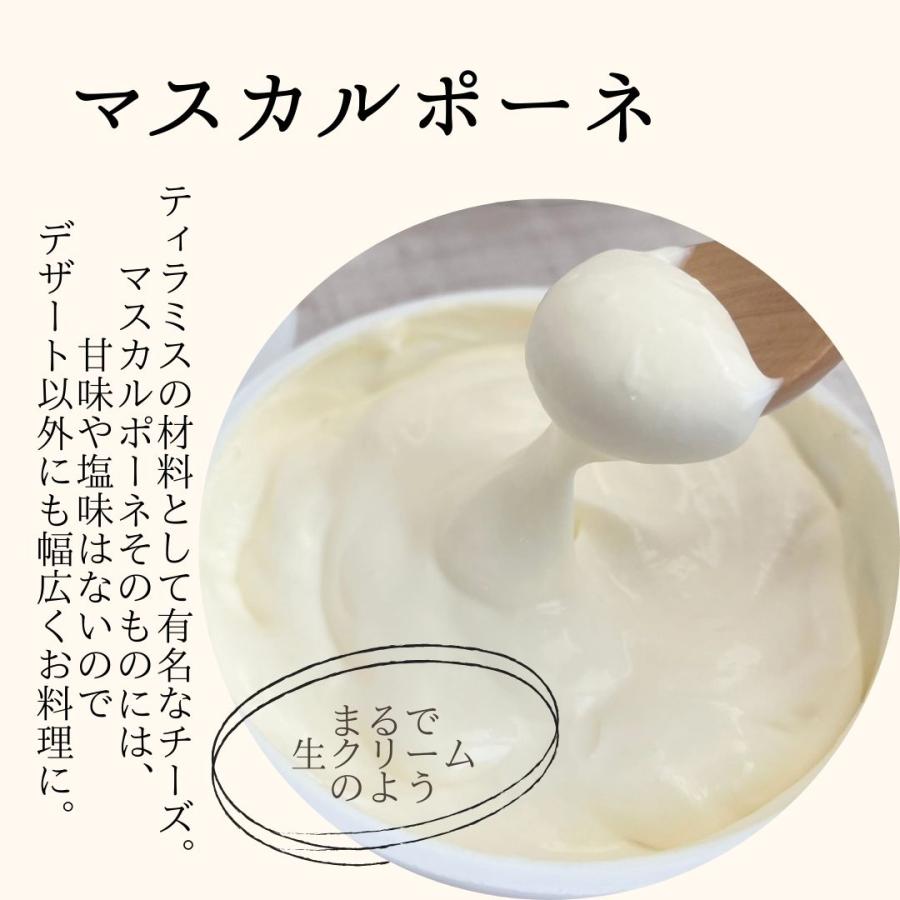 イタリア フレッシュ セット 【おまけ付き/オリーブ50g・天日干しトマト30g】マスカルポーネ 1個（250g）リコッタ 1個（295g） : チーズ専門店キャトルフォイユ - 通販 ...