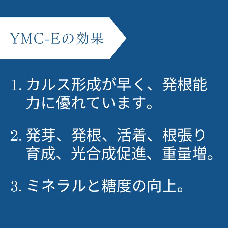 YMC-E : QS agri - 通販 - Yahoo!ショッピング
