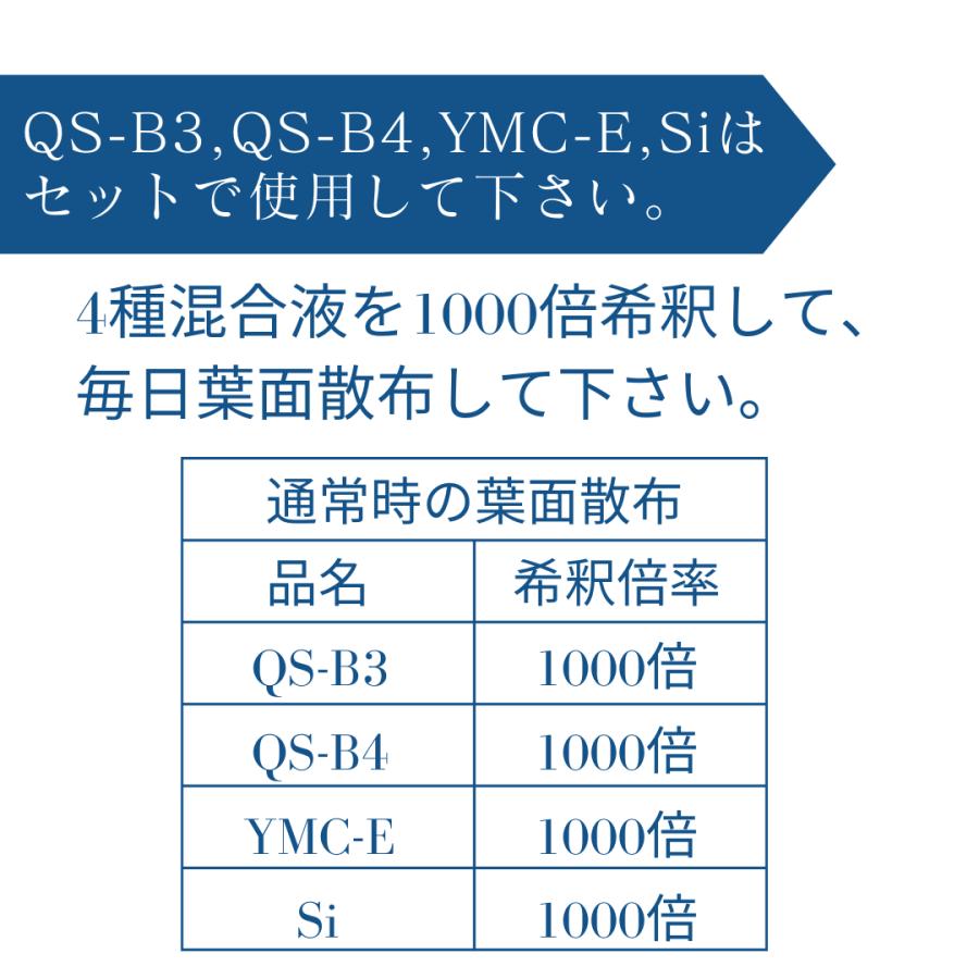 QS-B3-10 : QS agri - 通販 - Yahoo!ショッピング