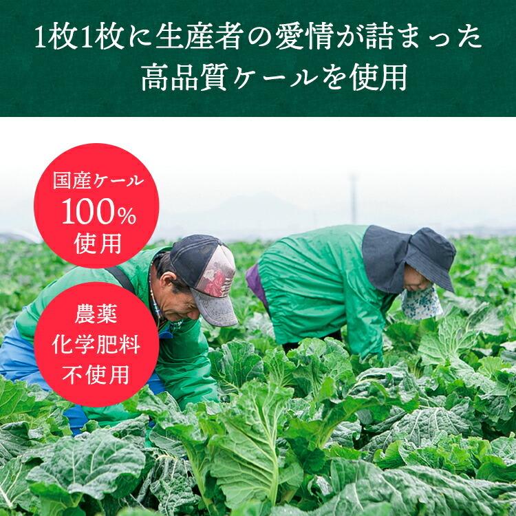 【1個当たり1,018円】【公式】キューサイ ザ・ケール 冷凍タイプ 630g(90g×7袋)×5セット 青汁 国産ケール ビタミンC 栄養 :000745:キューサイ 公式 Yahoo ...