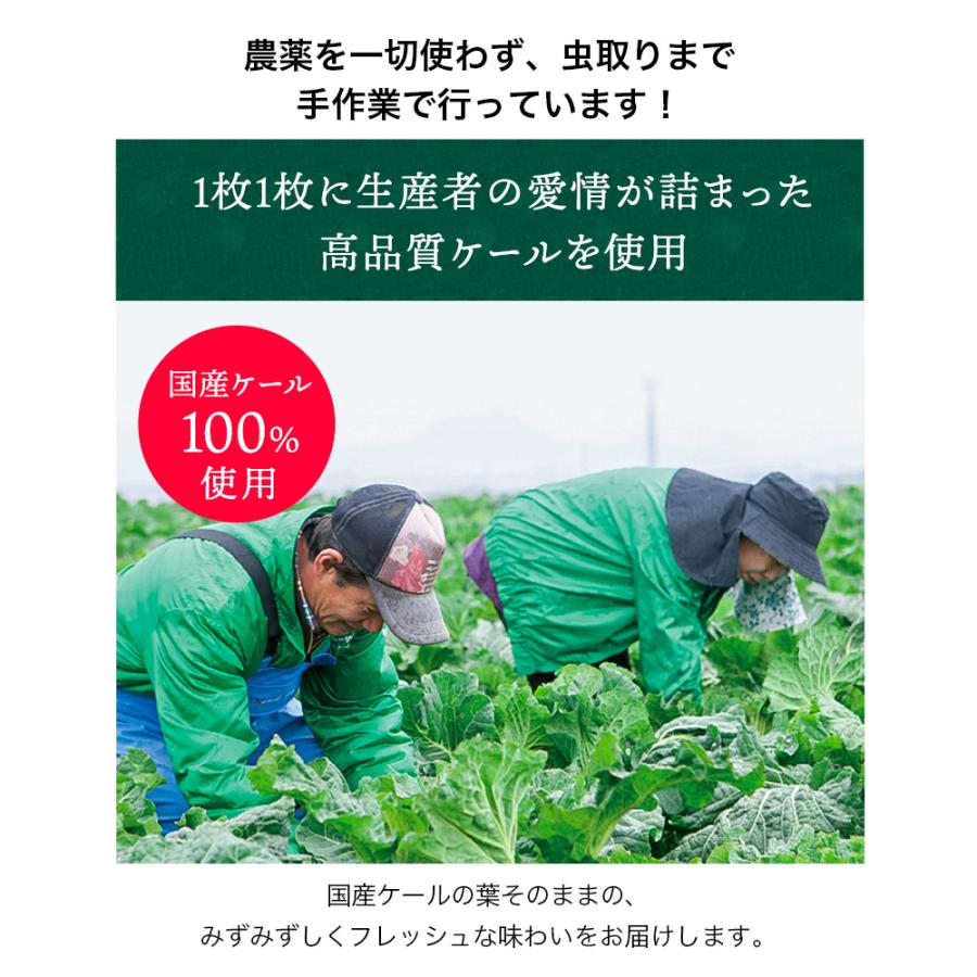 【公式】キューサイ ザ・ケール 冷凍タイプ 630g(90g×7袋)×5セット ( 青汁 国産ケール ビタミンC 栄養 ) :000745:公式 キューサイ Yahoo!ショッピング店 ...