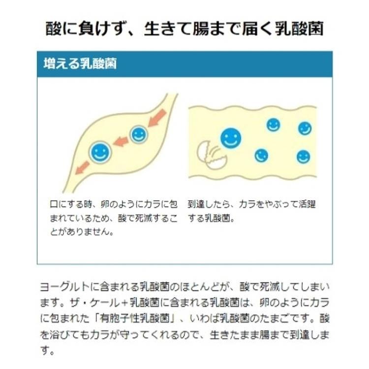 【公式】キューサイ ザ・ケール ＋ 乳酸菌 (420g) 5袋セット ( 青汁 粉末 健康食品 ケール 国産 ビタミン カルシウム 鉄分 ) : 040173 : 公式 キューサイ Yahoo ...