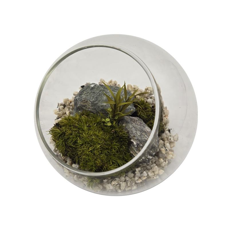 苔プリ ガラスドーム 10cm 完成品 テラリウム 枯れない苔 苔 苔プリ ガラスドーム 10cm 完成品 テラリウム 枯れない苔 苔