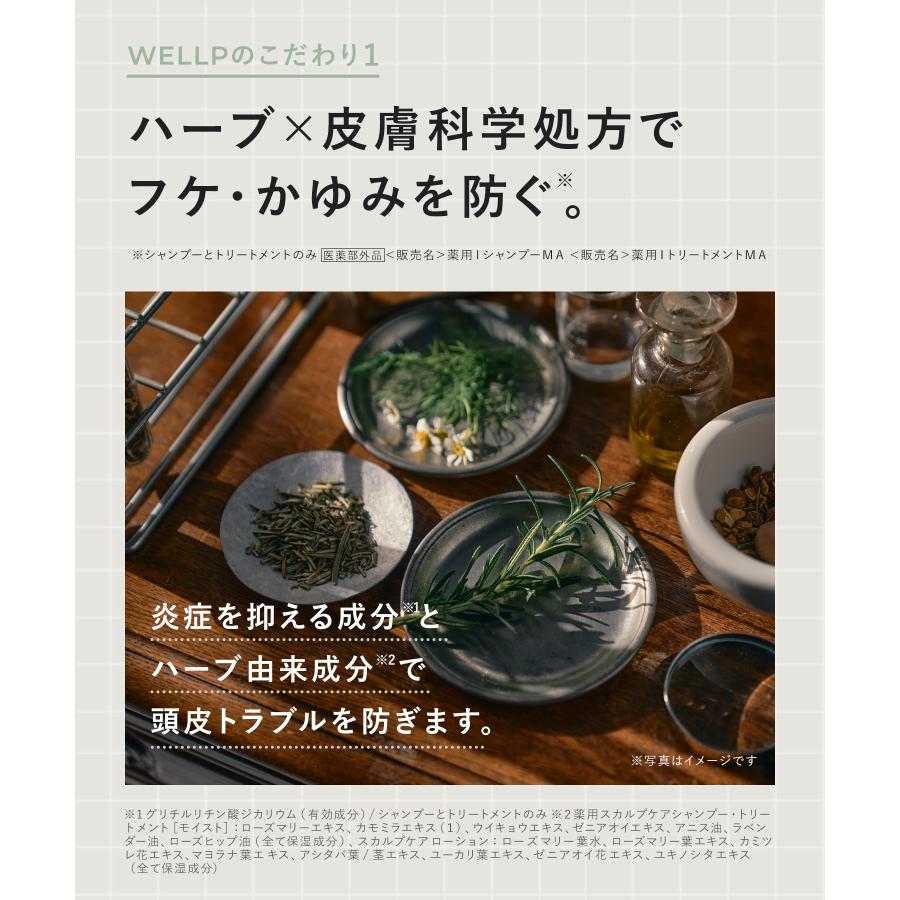 WELLP ウェルプ 薬用スカルプケア シャンプー トリートメント(詰め替え)[医薬部外品] 詰替 :wel002:アンドハビット - 通販 ...