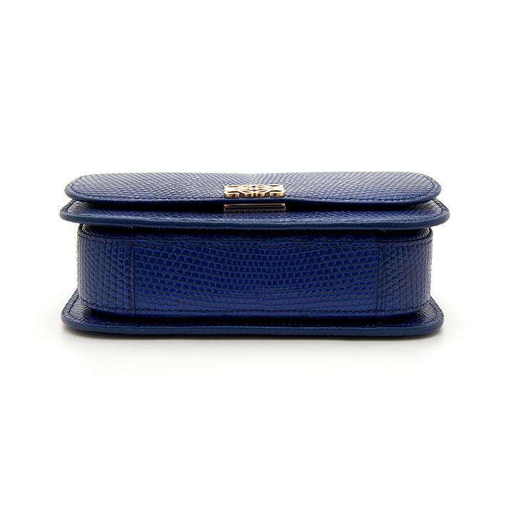 LOEWE ロエベ ショルダーバッグ ゴヤバッグ スモール A896N09X04 LOEWE ロエベ ショルダーバッグ ゴヤバッグ スモール A896N09X04
