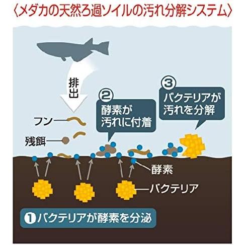 GEX メダカ元気 メダカ水景 メダカの天然ろ過ソイル 2.5L : trb01bxvimj0 : 良品家電 - 通販 - Yahoo!ショッピング