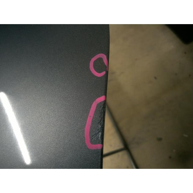 ウェイク DBA-LA700S 左RドアASSY X KF-VET S38 67004-B2240 : GREENPEACE - 通販 - Yahoo!ショッピング