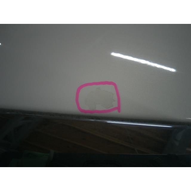 アルファード DBA-ANH20W ボンネットフード 240S 7人 2AZ-FE 4U1 53301-58020 : GREENPEACE - 通販 - Yahoo!ショッピング