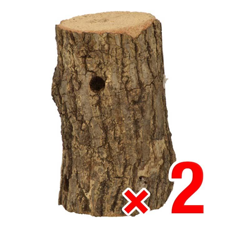 2個セット 三晃商会 特選朽木 外国産・国産クワガタムシ用産卵木 T74 : 流通ストア ヤフー店 - 通販 - Yahoo!ショッピング