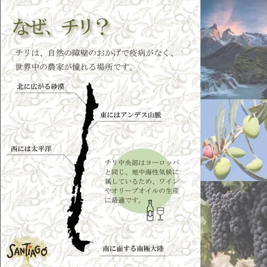 【訳あり値下げ】エキストラバージンオリーブオイル サンチャゴ プレミアム 230g 3本セット : くらしの生活雑貨 木の葉ストア - 通販 - Yahoo!ショッピング