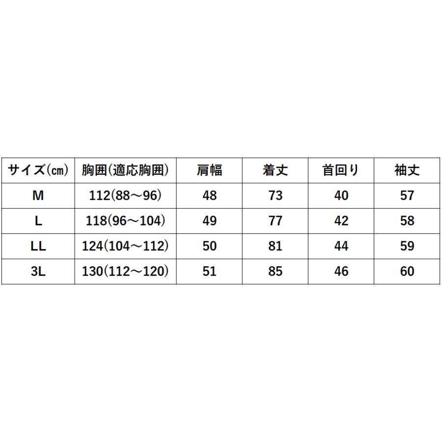 FC サッカー織 ロールアップシャツ 2枚組 41256 (グリーン系・ブラック系のチェック柄 同サイズ2色組) コットン 長袖 ロールアップ シャツ 綿100％ : R style - 通販 ...