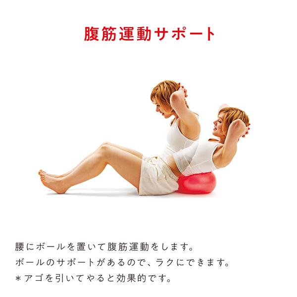 トレーニングボール ジムボール 腹筋たま サクライ erugam 54147 直径25cm 筋トレグッズ 腹筋 体幹 内もも ヒップ 太もも引き締め : 54147 : ラケットフィールド ...