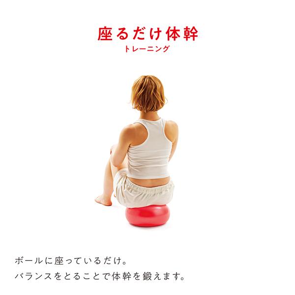 SAKURAi（スポーツ） トレーニングボール ジムボール 腹筋たま サクライ erugam 54147 直径25cm 筋トレグッズ 腹筋 体幹 内もも ヒップ 太もも引き締め : ラケット ...