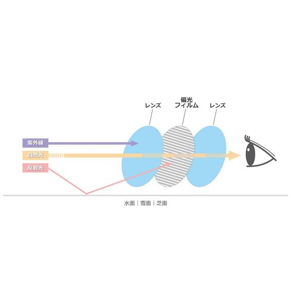 iruka『イルカ』 テニスアクセサリ・小物 IRUKAサングラス ティーブレンド : irk-unkn-0154 : ラケットプラザ - 通販 - Yahoo!ショッピング