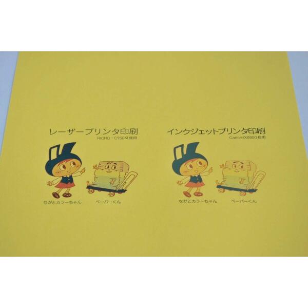 長門屋商店 カラーペーパー ナ-3404 A4特厚口50枚 濃いクリーム : 46069464364 : ラココショップ - 通販 - Yahoo!ショッピング