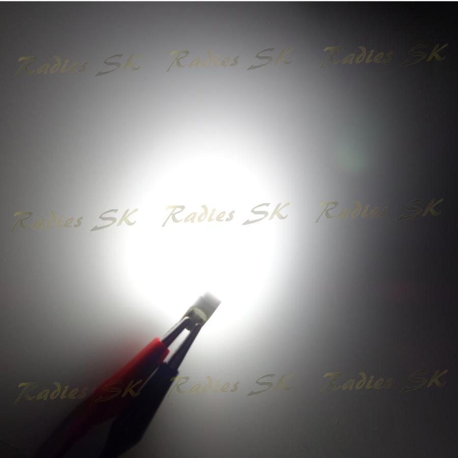 16球価格 T10 LED ホワイト 小型 ルームランプ ナンバー灯 カーテシランプ 12V 5500k 16球価格 大人気 条件付き保証 :16ko-T10-5500k:Radies SK ...