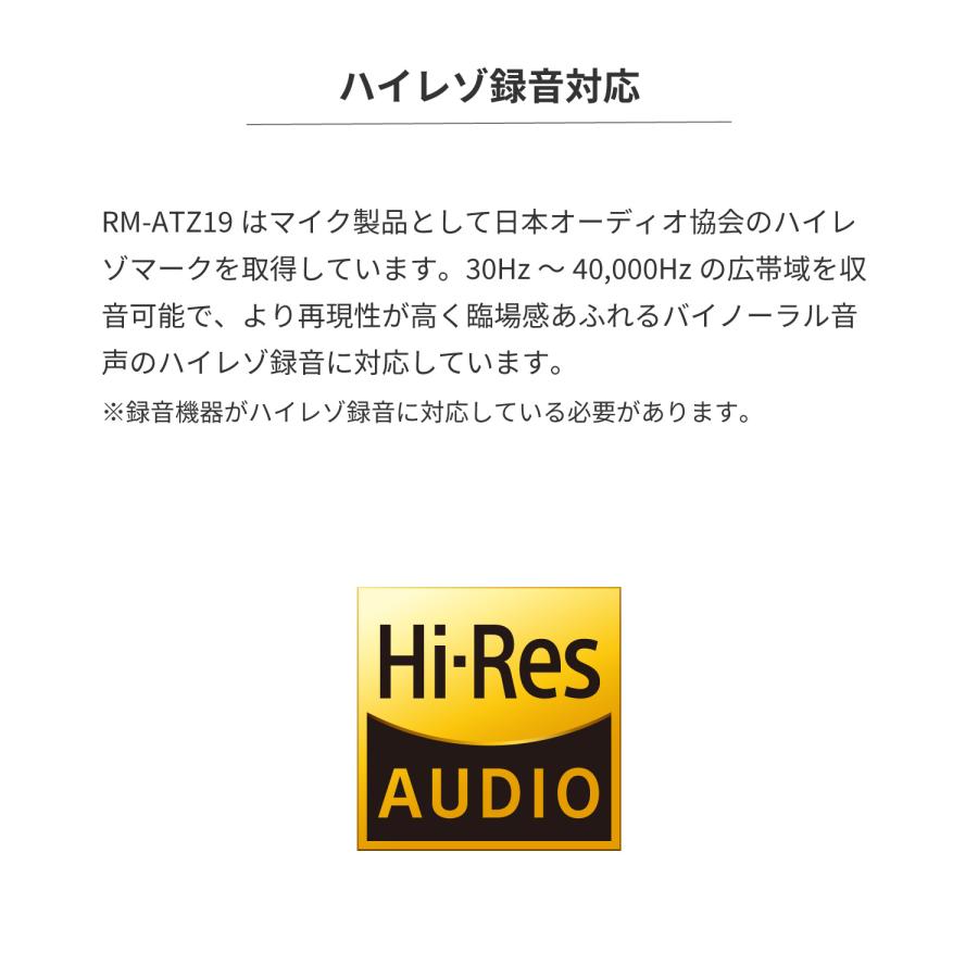 radius ラディウス RM-ATZ19 バイノーラル録音イヤホン型マイク ASMR バイノーラルマイク 配信 ストリーミング ウィンドスクリーン付 : ラディウス公式ストア Yahoo!店 ...