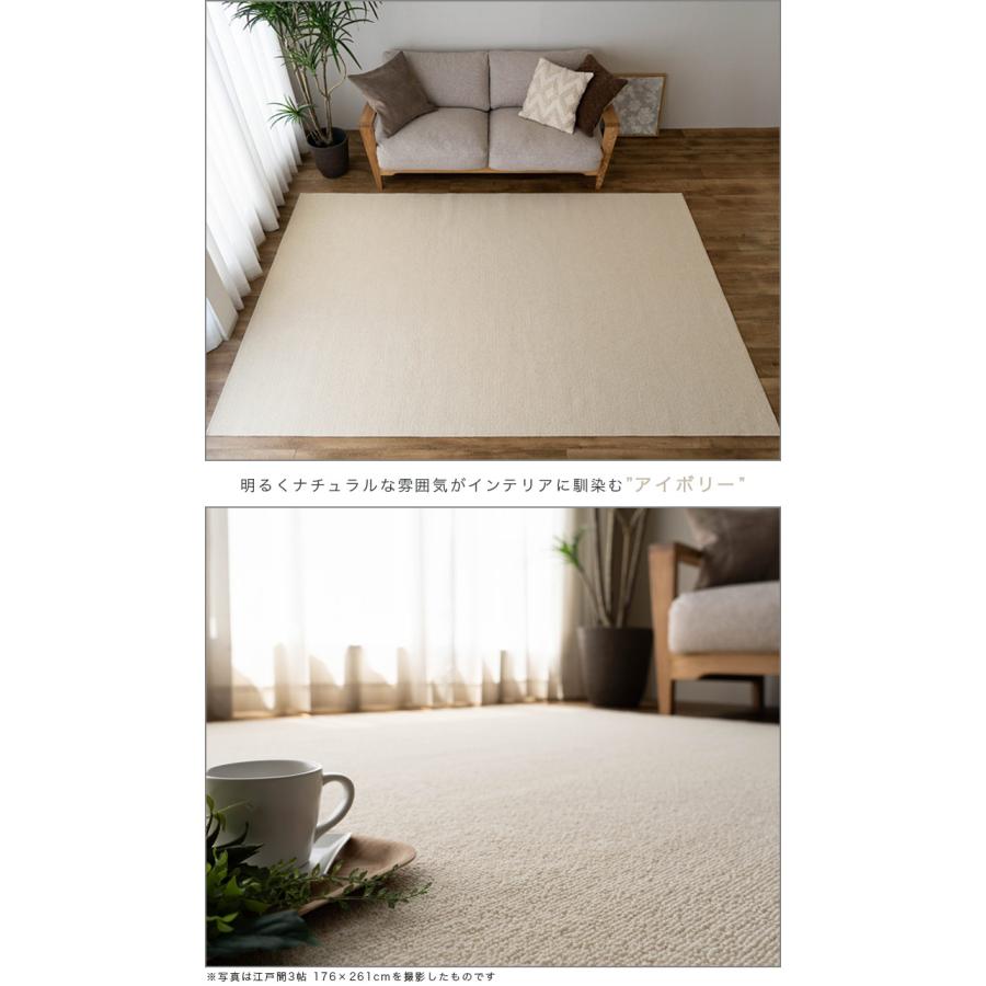 サヤンサヤン ウール100％ カーペット 3畳 江戸間 防炎 防ダニ 抗菌 176×261 日本製 ラグマット ラグ 無地 フリーカット 床暖房 絨毯 じゅうたん オールシーズン : ラグ ...