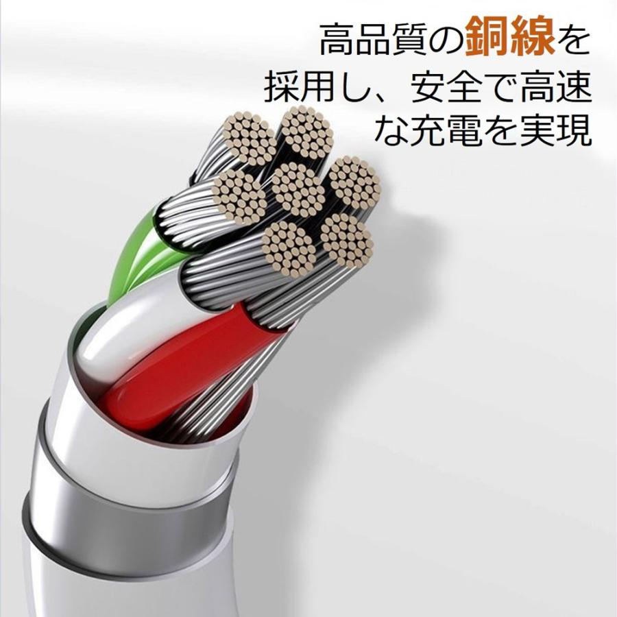 Apple type-c to C L iPhone 充電ケーブル ライトニングケーブル 短い 16 充電 アイフォン ケーブル 25cm iPad iPod iPhone用 ...