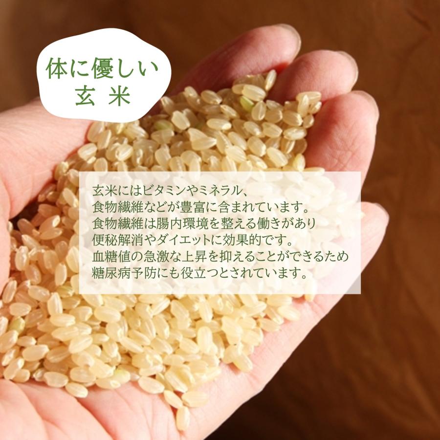 「新米」玄米 鹿児島県産 ミルキークイーン 20kg（5kg 4袋） 令和6年 特別栽培米 送料無料 長期保存 備蓄米 脱酸素剤 : gennmai-kagoshima-mq-20kg2 ...