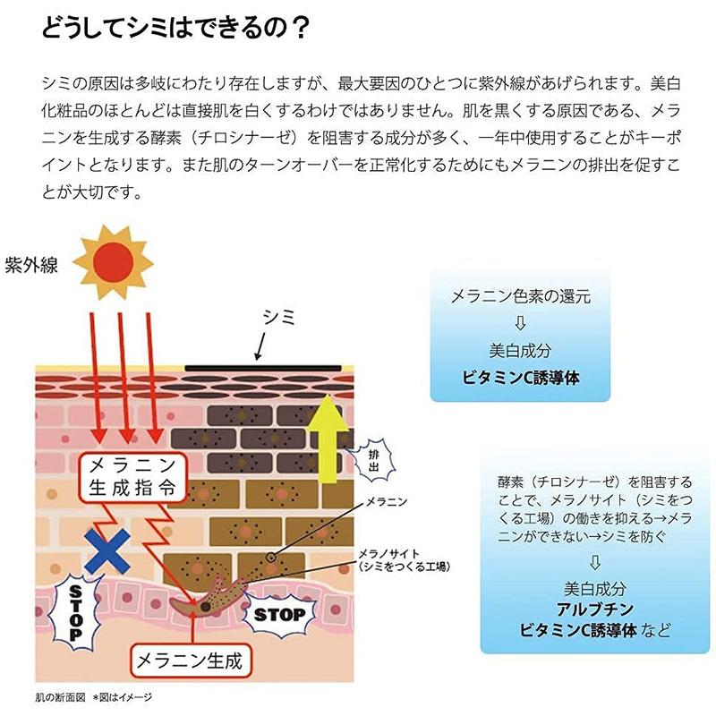 ビジュー ドゥ メール BIJOU DE MER フェイス ホワイトクリーム 48g : 東京生活館 Yahoo!店 - 通販 - Yahoo!ショッピング