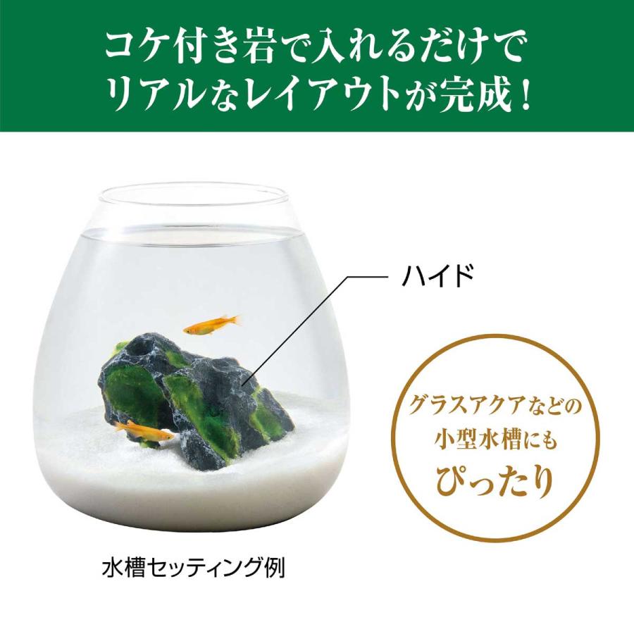 【全国送料無料】 GEX 癒し水景 モスロック ハイド Hide (新商品) : 12681 : レヨンベールアクアYahoo!店 - 通販 - Yahoo!ショッピング