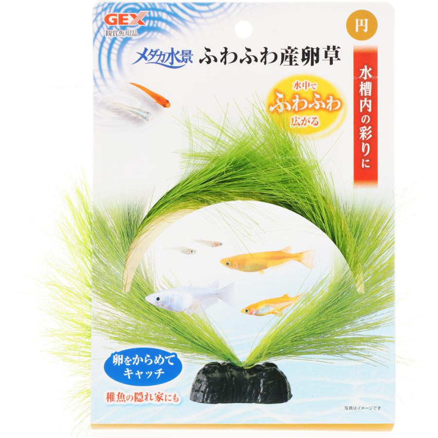 GEX 【全国送料無料】 ふわふわ産卵草円 : レヨンベールアクアYahoo!店 - 通販 - Yahoo!ショッピング