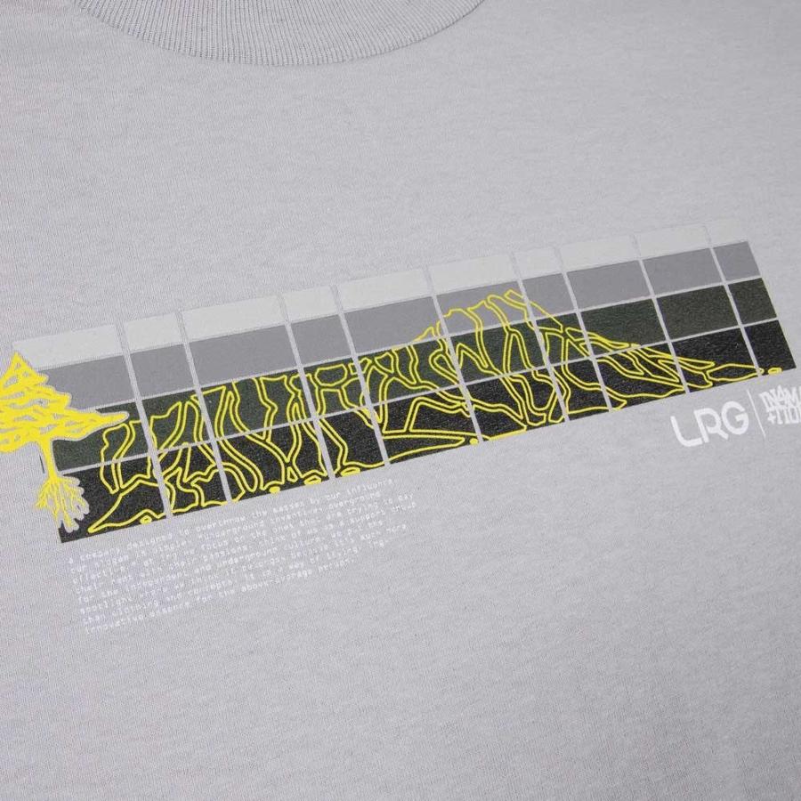 IN4MATION IN4MATION/インフォメーション LRG コラボ 半袖Tシャツ X IN4M Wearmax HAWAII Tee (シルバーグレー) : RayRay - 通販 ...