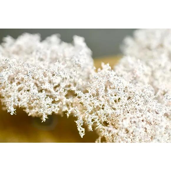 カトー KATO(カトー)/24-367/日本のさくら 50mm 3本入 : ラジコン夢空間 - 通販 - Yahoo!ショッピング