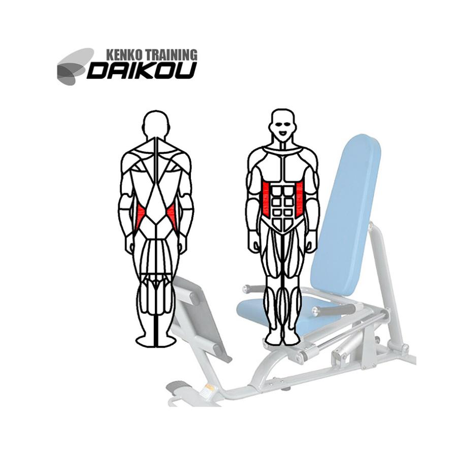 DK-680 ダイコー 油圧マシン レッグプレス トレーニングマシン 油圧式 筋力トレーニング 機能訓練 サーキットトレーニング リハビリ DAIKOU 大広 代引不可 : リコメン堂スポーツ ...