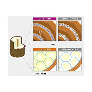 デミ コスメティクス コンポジオ ヘアケア CMC リペアトリートメント 2000g 詰替 送料無料 DEMI : リクル - 通販 - Yahoo!ショッピング