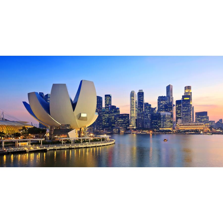 絵画風 壁紙ポスター シンガポール 夕暮れ アート・サイエンス・ミュージアム 夜景 キャラクロ SGP-004S1 (パノラマS版 1152mm×576mm) : レアルインターショップ ...