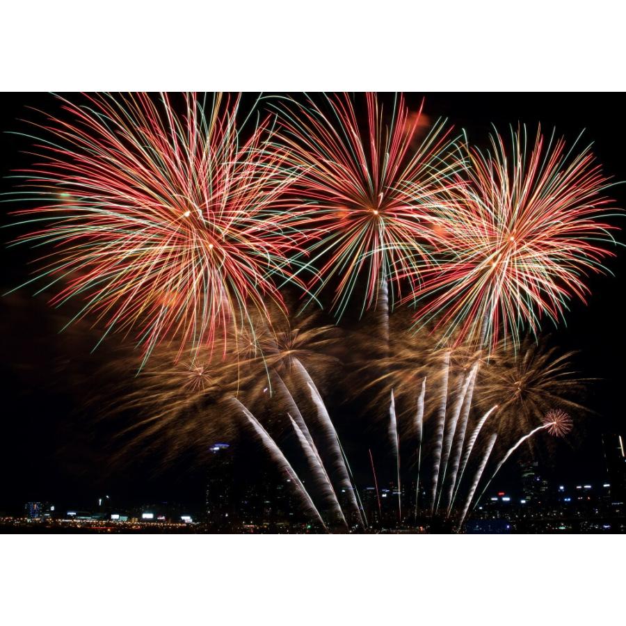 絵画風 壁紙ポスター (はがせるシール式) 花火 打ち上げ花火 花火大会 祝賀 お祭り 夏 風物詩 キャラクロ SHNB-003A2(A2版 ...