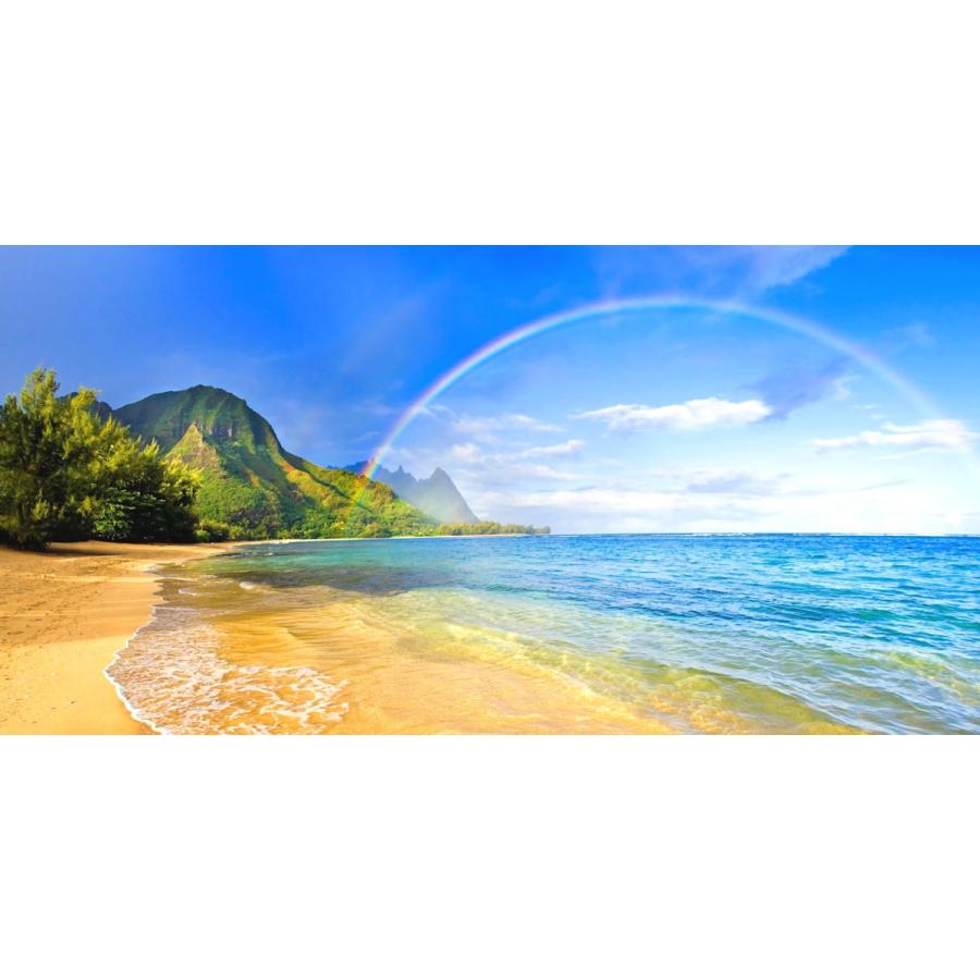 絵画風 壁紙ポスター (はがせるシール式) 南国の島とビーチと虹のハーモニー ハワイ 波 虹 キャラクロ SRBW-008BS1 (パノラマS版 1152mm×576mm)＜日本製 ...