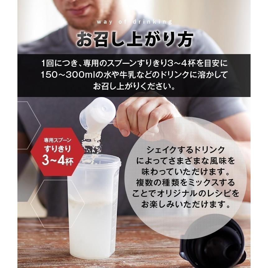 ビーレジェンド公式 RealStyleプロテイン 送料無料 コアラ小嵐 大阪の喫茶店のミックスジュース風味 (ホエイ WPC 1kg ビーレジェンド 国内製造) プロテイン | kochi ...