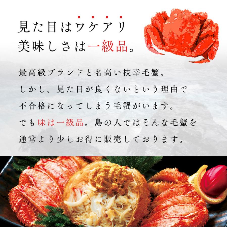 キズ有 自宅用 北海道 枝幸産 毛ガニ 毛蟹 500-530g前後 訳あり 北海道産 かに カニ 蟹 毛がに けがに カニみそ カニ味噌 : a71-07111-11130 : 島の人 ...