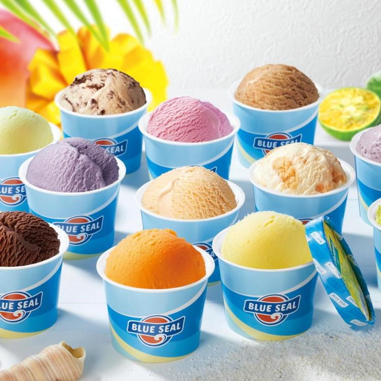 沖縄 ブルーシールアイス12個セット 食品 ギフト プレゼント 贈答 熨斗