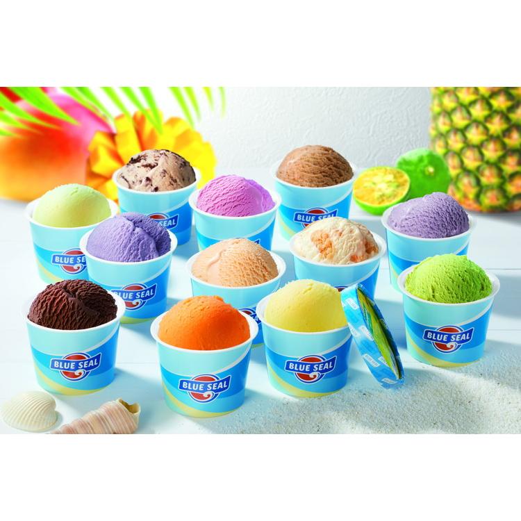 沖縄 ブルーシールアイス 食品 ギフト プレゼント 贈答 熨斗 のし 贈り物 記念日 お祝い 冠婚葬祭 内祝 御祝 無地 出産内祝 結婚内祝 御見舞 快気祝 御仏前 志 お供(代引不可)【送料無料】 沖縄 ブルーシールアイス 食品 ギフト プレゼント 贈答 熨斗 のし