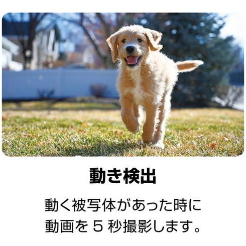 ケンコー 144068 軽量オートフォーカス広角レンズデジタルカメラKC-05AF KCAF05 測定 計測用品 撮影機器 ウェアラブルカメラ ...