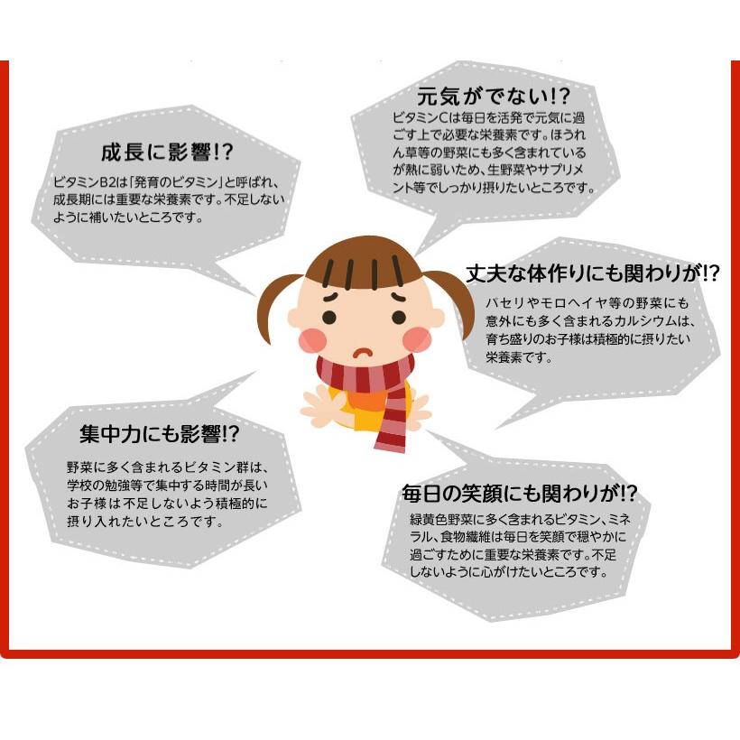 ひとてまい 100g×12個セット 計量スプーン付き 栄養 栄養補充 テレビ 話題 無香料 無着色 保存料不使用 :kp-7019-12set:リコメン堂 - 通販 - Yahoo!ショッピング